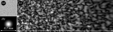 speckle simulation an example of algorithm output a patch of size 0 1