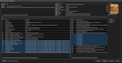 Bad Info Recovering From Discogs Fixed Bugs Mp3tag Community