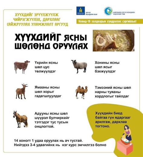 Хүүхдийг ясны шөлөнд оруулах нь ач Эрүүл Мэндийн Яам