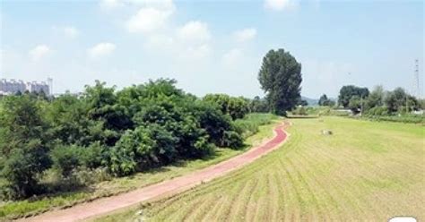 증평군 보강천 체육공원 자전거도로 보수공사 완료