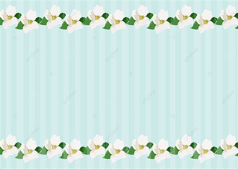 รูปพื้นหลังลายดอกมะลิสด ดอกไม้ มะลิ สดภาพพื้นหลังสำหรับการดาวน์โหลดฟรี Pngtree