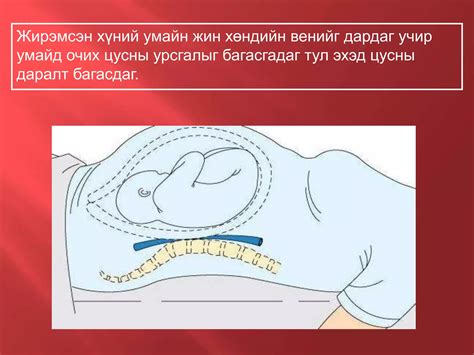 4 Жирэмсэн үед гарах физиологийн өөрчлөлтүүд Pptx