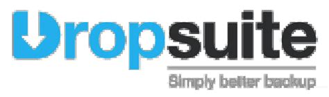 Dropsuite Ptech The Posh It Service