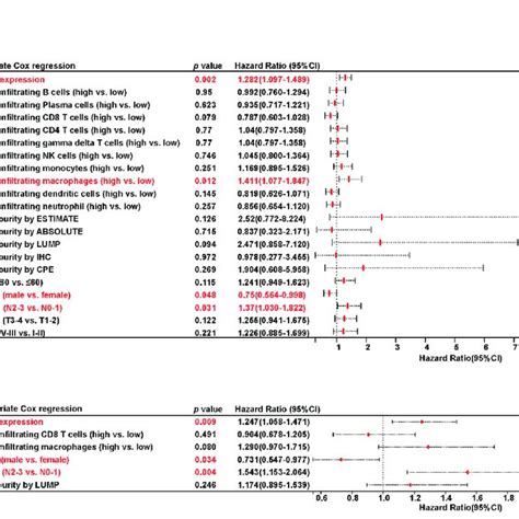 Univariate And Multivariate Cox Regression Analyses On Survival In