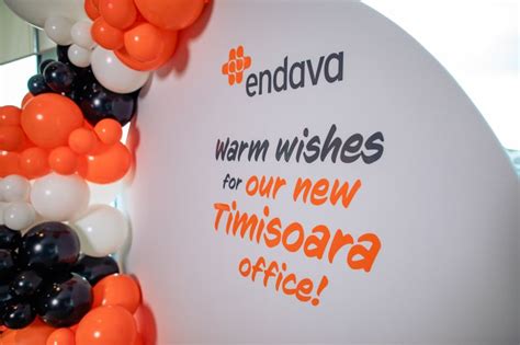 It Mihaela Andreea Badea