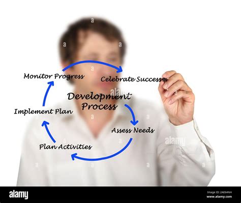 Diagram Of Development Process Stock Photo Alamy