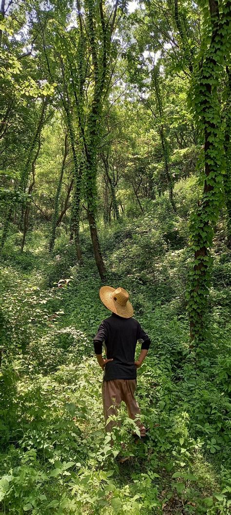 성공 마인드 완전한 건강 변화와 성장을 위한 명상과 상담