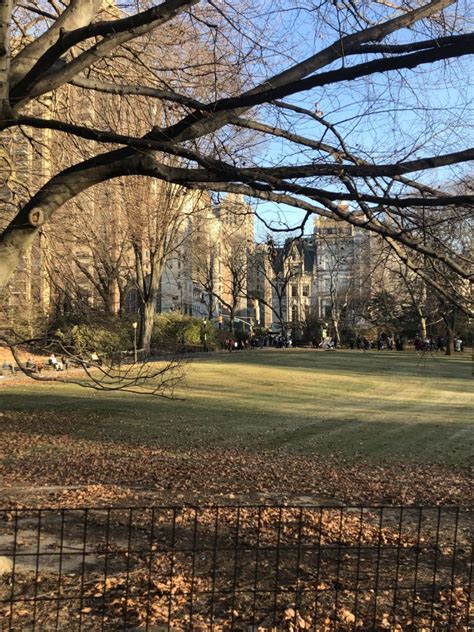 미국여행 뉴욕 6일차 센트럴 파크 픽어베이글 자연사박물관 달라스 비비큐 네이버 블로그