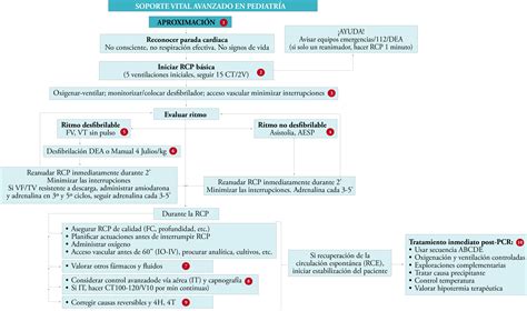 Algoritmo Soporte Vital Avanzado Pediatría SEUP