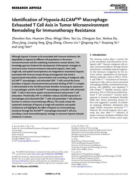 Pdf Identification Of Hypoxia‐alcam Macrophage‐ Exhausted T Cell Axis In Tumor