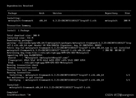 msfconsole csdn博客