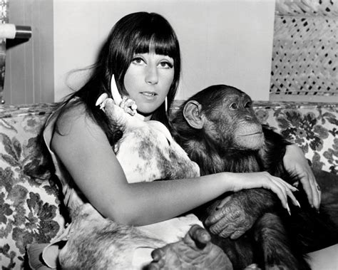 Cher Hace 50 Años Sus Fotos De Joven Más Sexys Y Explosivas