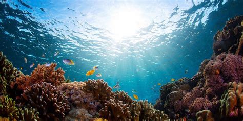 Maria Caneman On Linkedin Federated Hermes And Nordea Join Call For