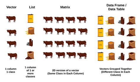 How Vectors Influence When To Use For While Loops In R Programming By Pierre Debois Jan