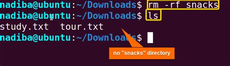 How To Find And Delete Directory In Linux 3 Methods