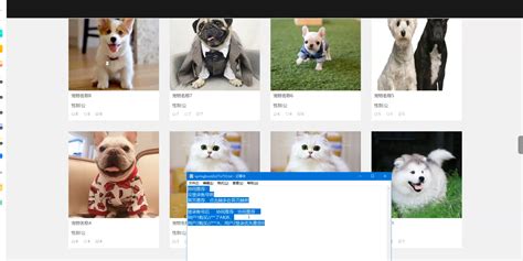 基于springbootvue数据可视化协同过滤推荐算法的宠物管理系统设计和实现源码lw部署讲解 Csdn博客