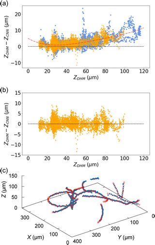 real time 3d tracking of swimming microbes using digital holographic