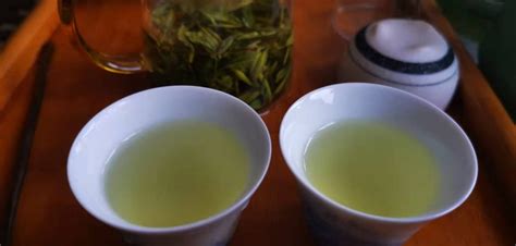 What Is Longjing Tea And What Are The Benefits Of Longjing Tea
