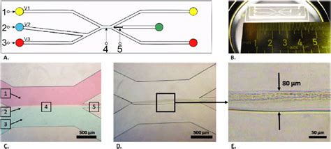Schematic Chip Design A A Basic Buffer Ph 96 Is Inserted Via Inlet
