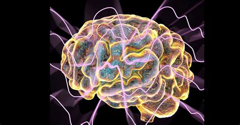 Investigating Serotonergic Activity In The Dorsal Raphe Nucleus Using