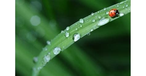 Облачно с краткотрайни валежи днес