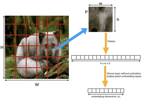 Vision Transformer In PyTorch