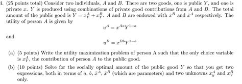 25 ﻿points Total ﻿consider Two Individuals A And