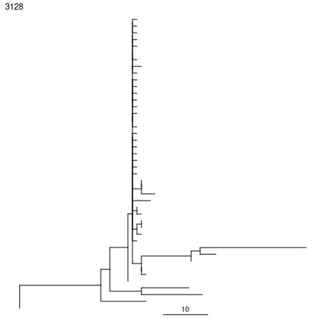 Plot Lineage Trees Dowser