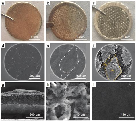 Digital Photographs A C And Sem Images D I Of The Pristine A D Li Download Scientific
