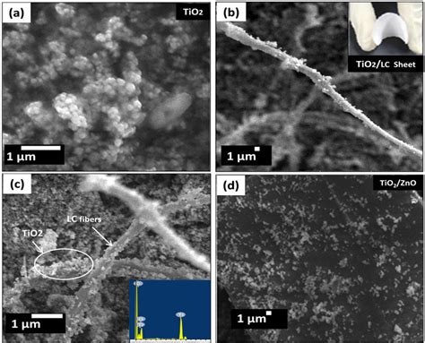 Sem Of A Tio2 Powder B And C Tio2 Lc Sheet And D Tio2 Zno Download Scientific Diagram