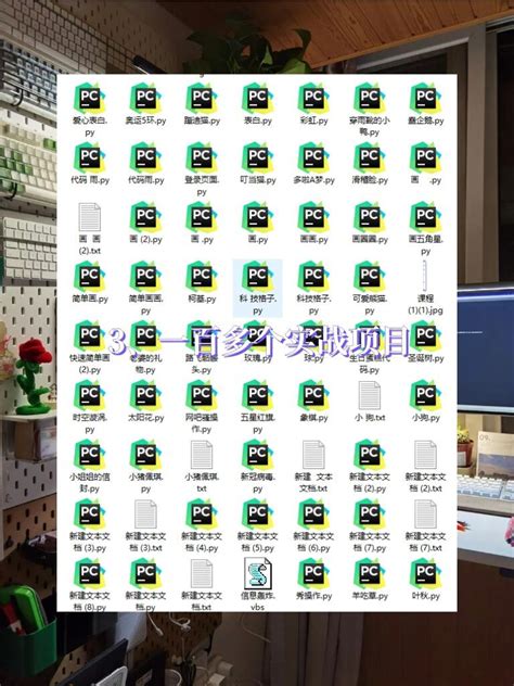 Python基础资料合集(电子书网课视频项目实例) 哔哩哔哩 Python基础资料合集(电子书网课视频项目实例) 哔哩哔哩