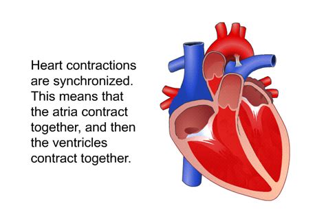 Cardiac Ablation For Atrial Fibrillation