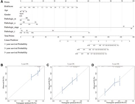 Development And Validation Of A Novel Model For Predicting The Survival Of Bladder Cancer Based