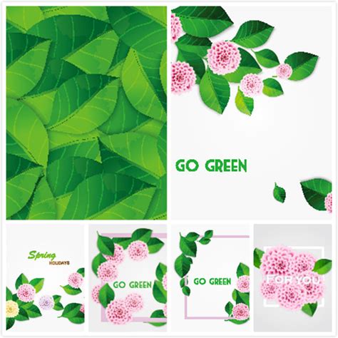 唯美彩色花朵植物 素材中国sccnn