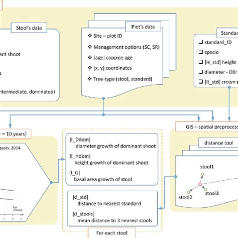 Workflow From The Field Data Collection To The Data Preprocessing