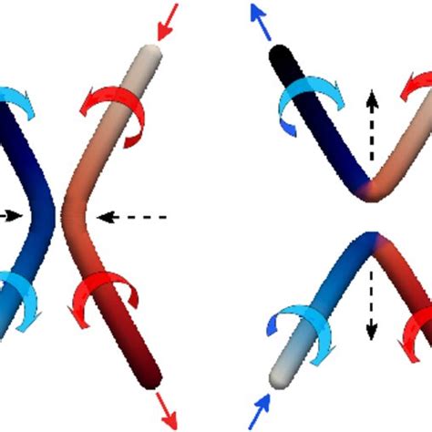 Universal Routes To The Reconnection Of Two Vortex Lines Top Left