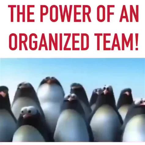 Hafiz Abdul Haseeb Tariq Posted On Linkedin