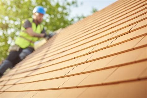 Common Types Of Roof Damage Challis Restoration Services Inc