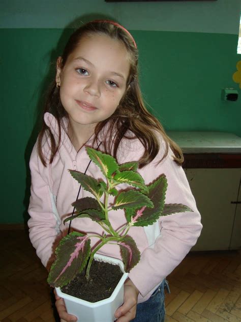 Начално училище Петко Рачов Славейков гр Пловдив Екологията в училище