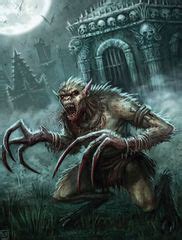 Vampire Warhammer The Old World Lexicanum