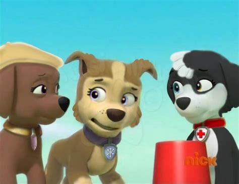 Маленькая викторина 1 Кем работал Гонщик в 1 сезоне 2 Влюблённые пары Патруля… ЩЕНЯЧИЙ