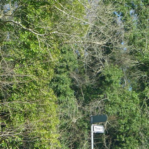 Tynan Village And Townland County Armagh See Around Britain