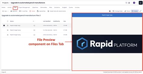 File Preview Rapid Platform Docs