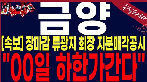 금양 주가전말 긴급 류광지회장 지분매각공시감사보고서의문결국은 상장폐지수순 금양 금양주가전망 금양주가 금양대응전략 금양주식전망 금양주가분석 이차