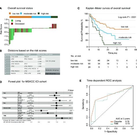 Assessment Of The Frequency Of Mutated Genes And Mutation Patterns In Download Scientific