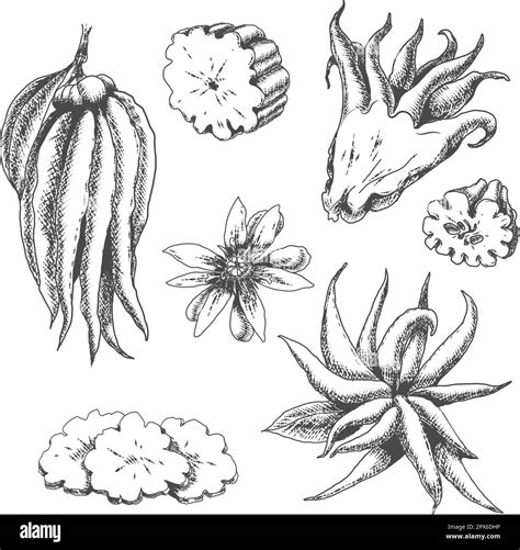 Buddha China Cut Out Stock Images And Pictures Alamy