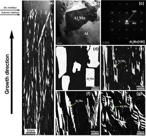 A Shows The Structure Of Directionally Solidified Al 3 At Mn Alloy Download Scientific
