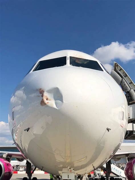 Aircraft Damage Detection Object Detection Dataset By Babe