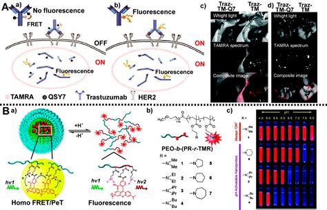 Fluorescent Probes And Sensors At Karima Parker Blog