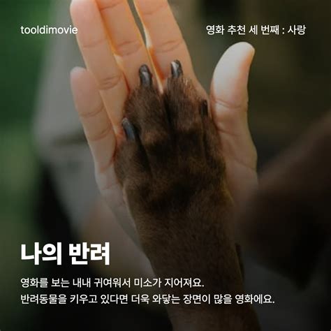 포트폴리오 프로필 디자인 레이아웃 툴디 Tooldi